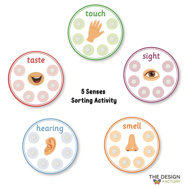 Five Senses Sorting Activity For Kids Hands On Science Learning Five Senses Sorting Activity For Kids Hands On Science Learning