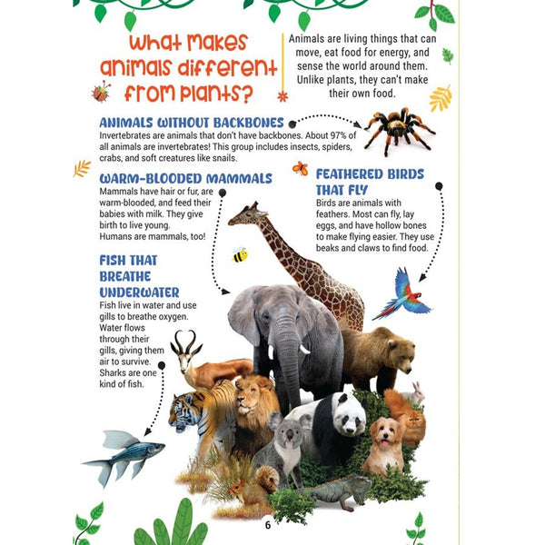 Factopedia Science Scoop: Incredible Science Facts for Kids Age 6 ...