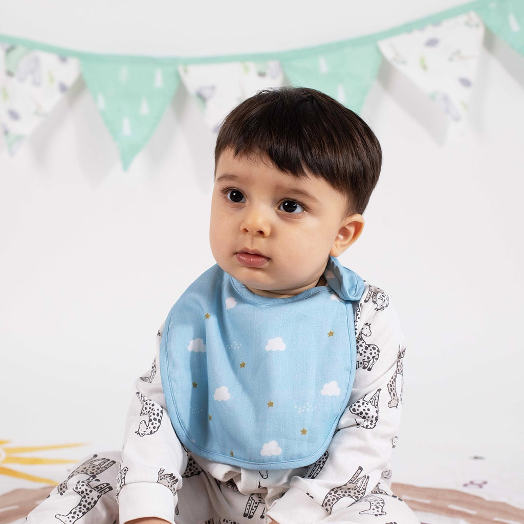 Organic Bibs (Set of 2)- The Little Prince – Popup Kids